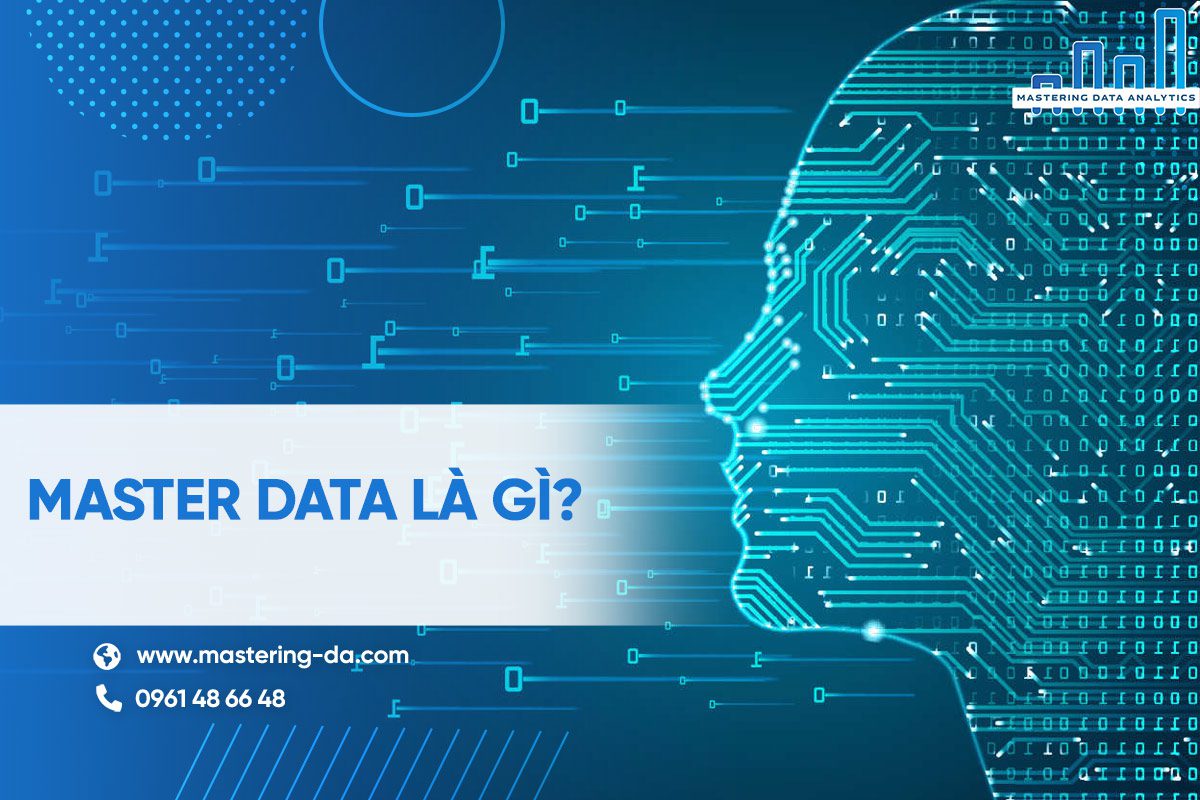 Master data là gì? Phân biệt Master data và Transaction data - Mastering Data Analytics